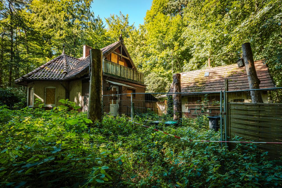 Geesthacht Rätsel Um Den Turm Im Wald Mopo