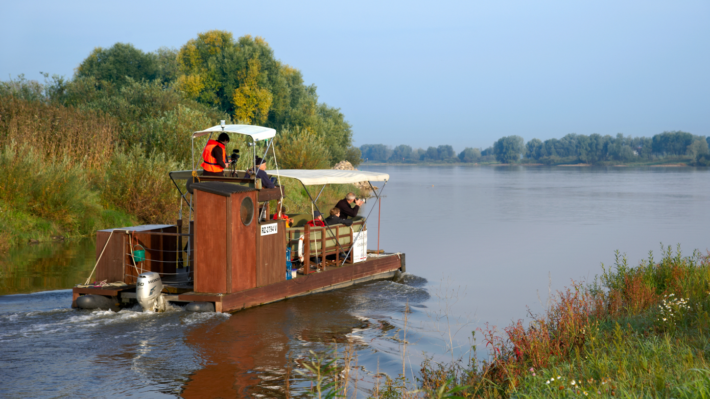 Bootstouren im Norden: Auf dem Sofa über die Elbe | MOPO